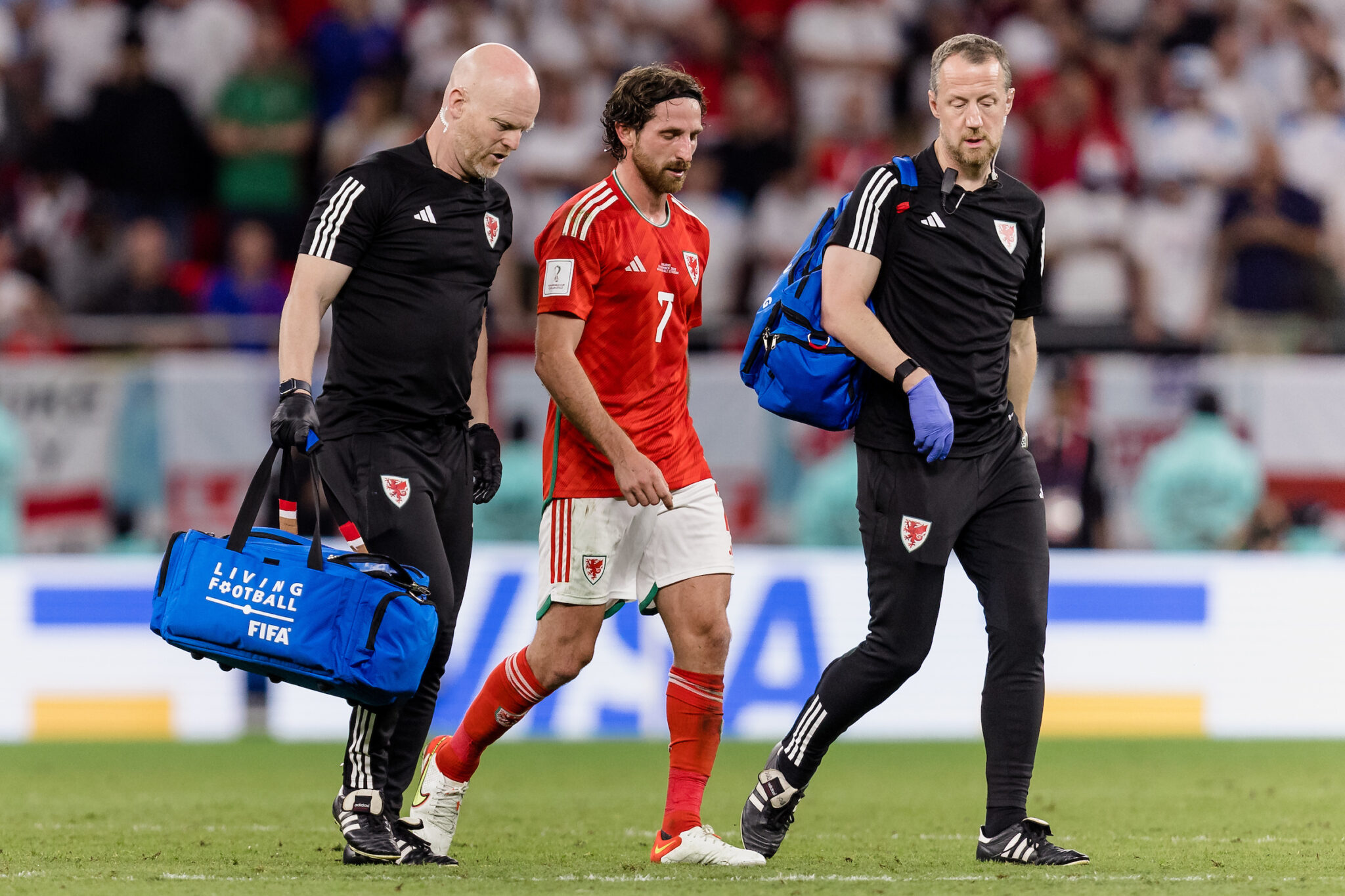 Medical Courses - FAW