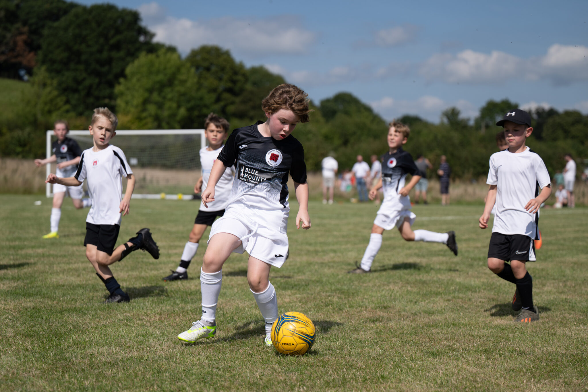 Welshpool Town unveil new football pitches - FAW
