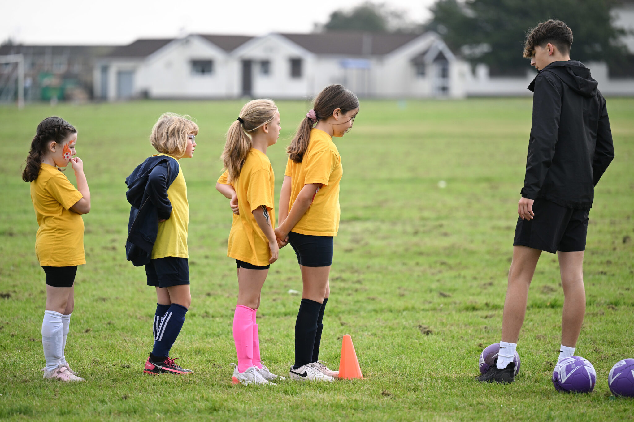 Free Access to FAW Courses - FAW