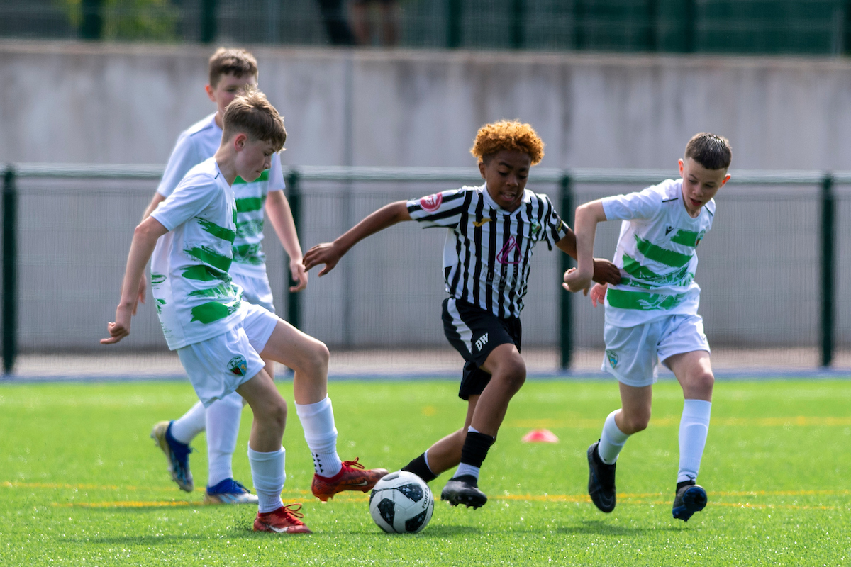 National Academi sowing the seeds for a brighter Cymru future - FAW