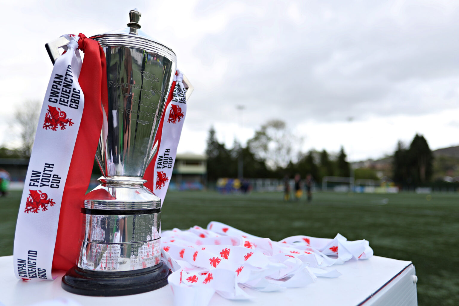 The Official Website of the Football Association of Wales - FAW