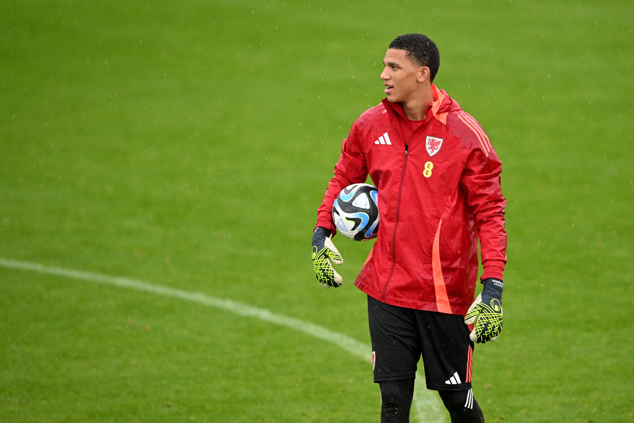 The Official Website of the Football Association of Wales - FAW