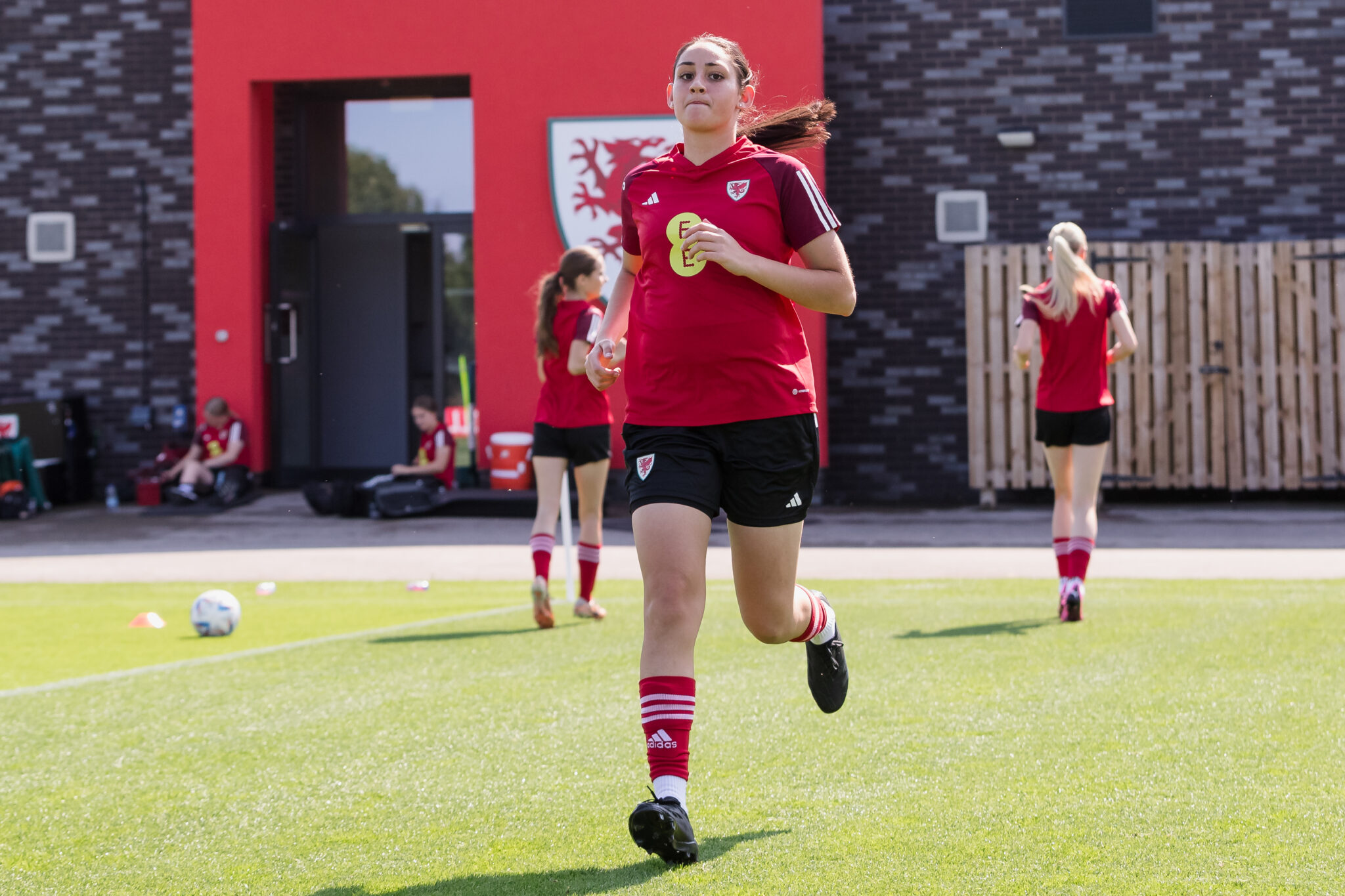 The Official Website of the Football Association of Wales - FAW