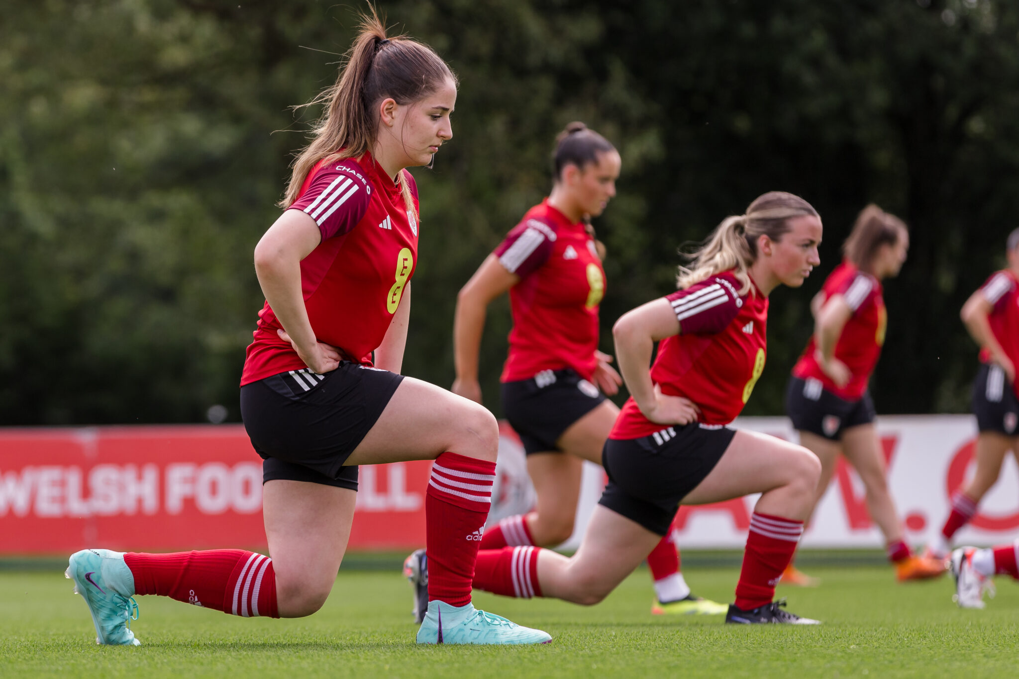 The Official Website of the Football Association of Wales - FAW