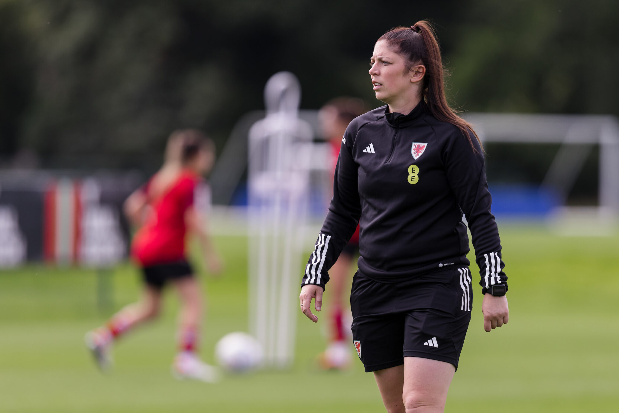 The Official Website of the Football Association of Wales - FAW