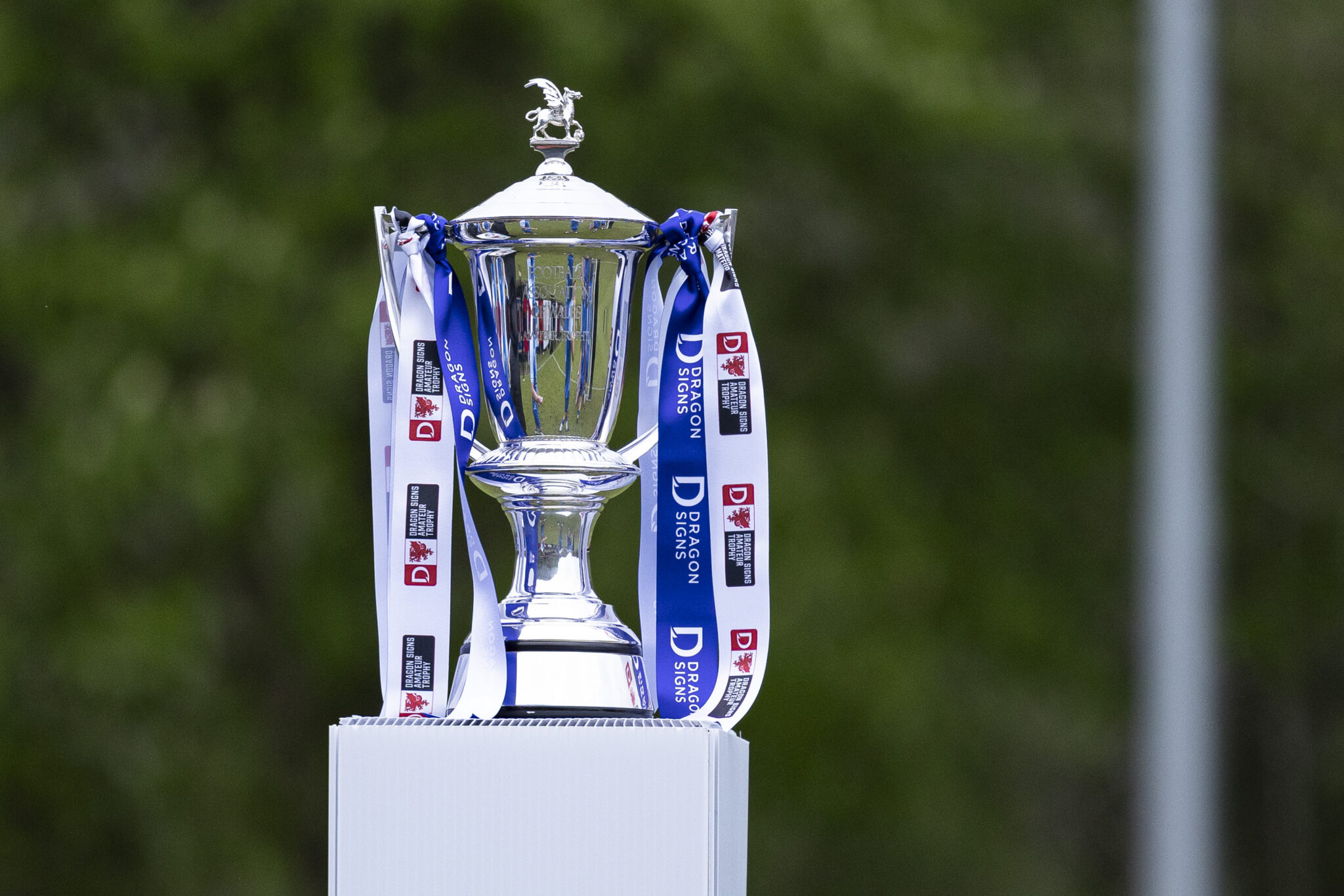 Iconic mural unveiled of Jess Fishlock